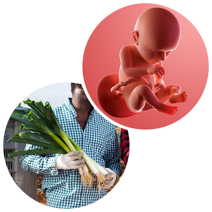 37 weeks pregnant - Week-by-week guide - NHS